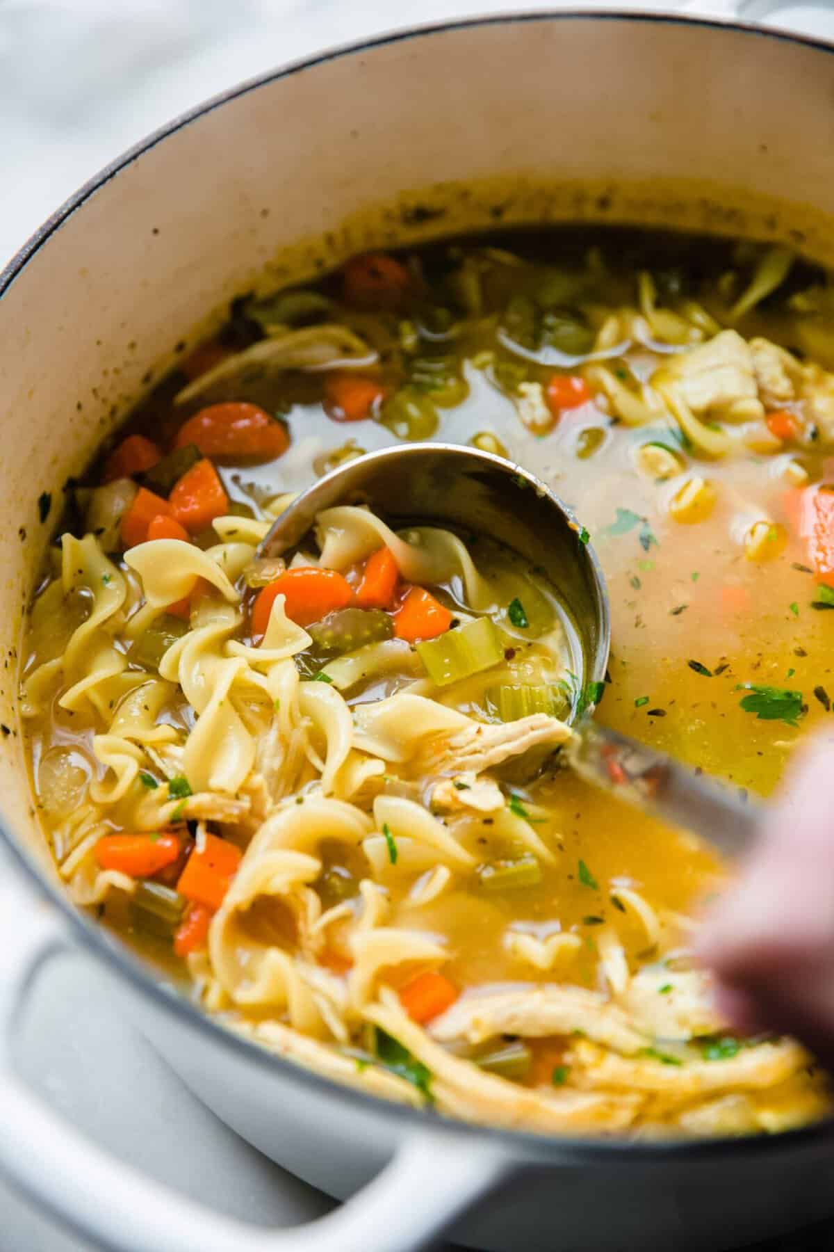 Flu-Fighting Chicken Noodle Soup Recipe | Little Spice Jar