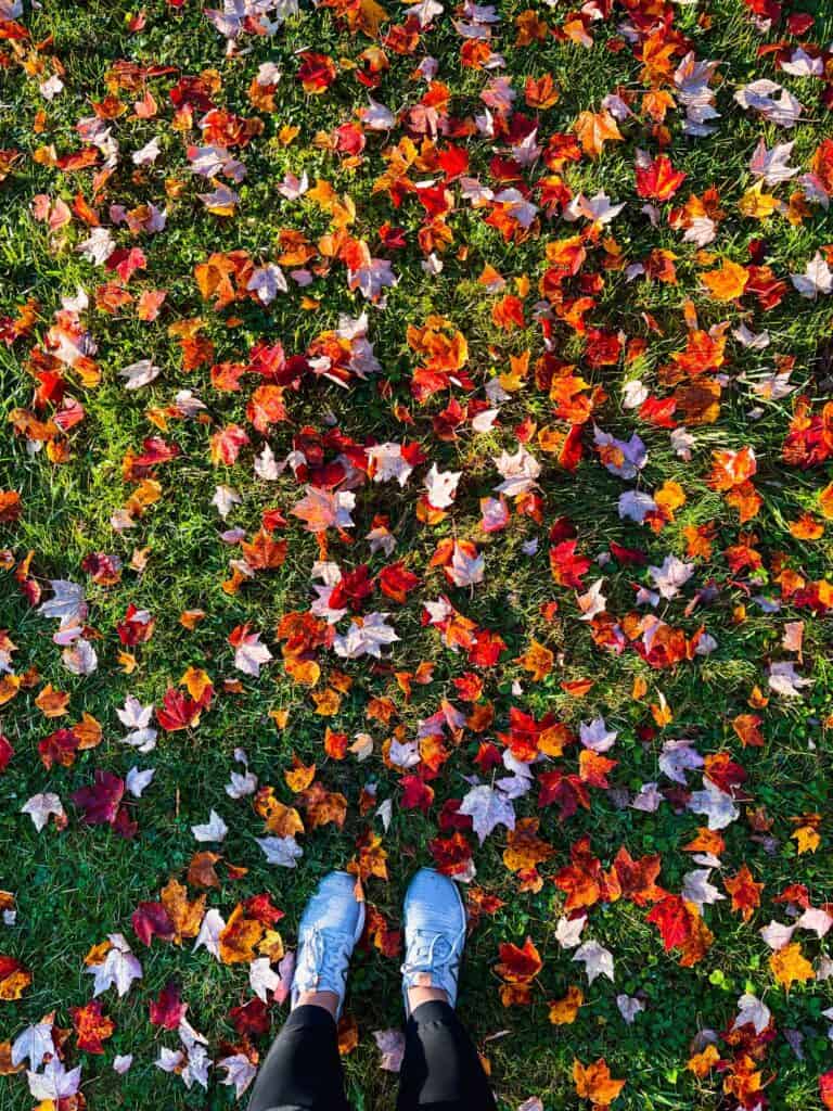 Experiencing Fall in Stowe, Vermont | Little Spice Jar