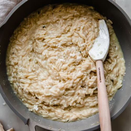 Garlic Parmesan Orzo Risotto Recipe | Little Spice Jar