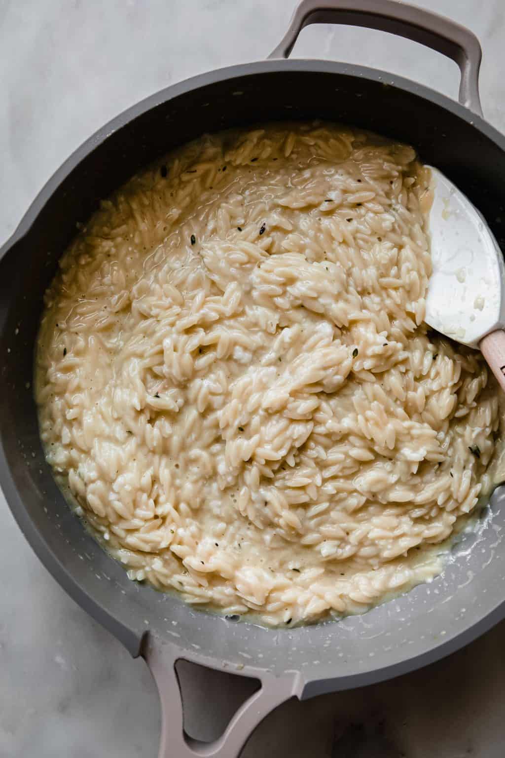 Garlic Parmesan Orzo Risotto Recipe | Little Spice Jar