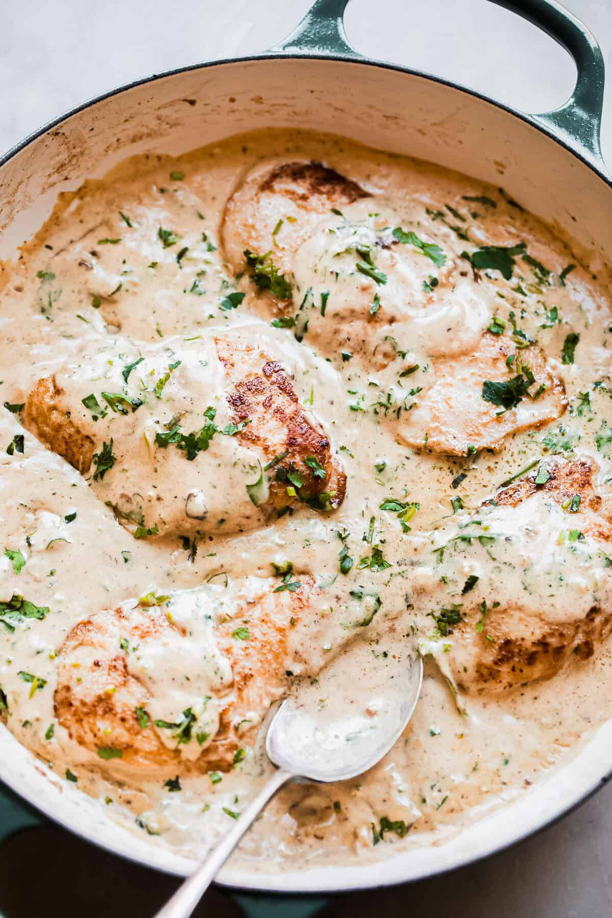 Saucy Lemon Cilantro Chicken Recipe | Little Spice Jar