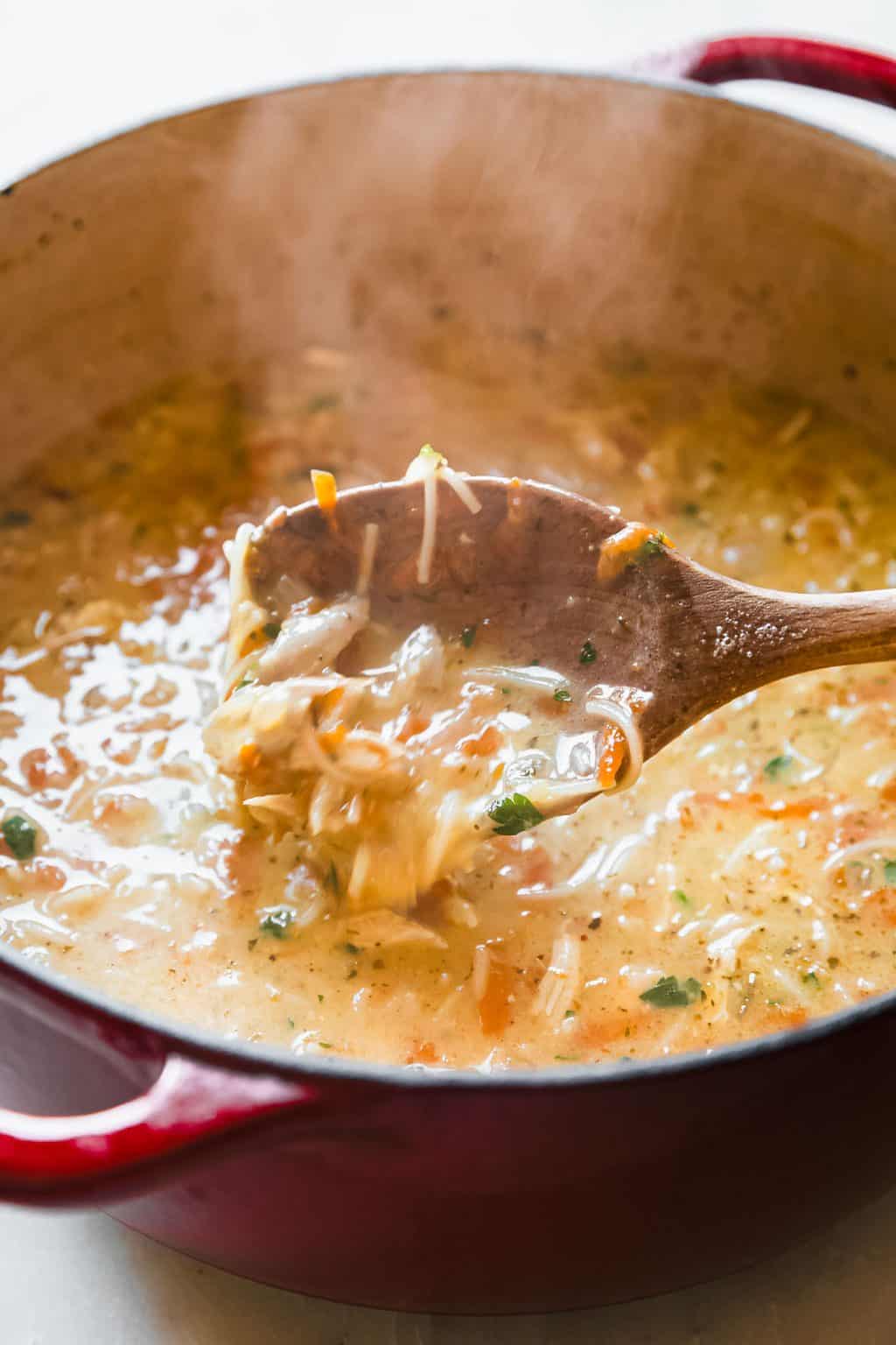 Turkish Chicken Soup Recipe (Tavuk Cobasi) - Little Spice Jar