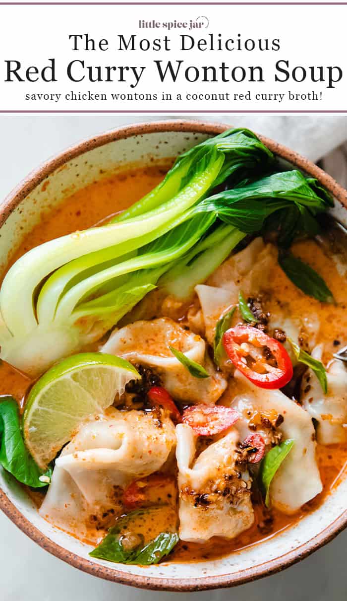 Red Curry Wonton Soup Recipe | Little Spice Jar